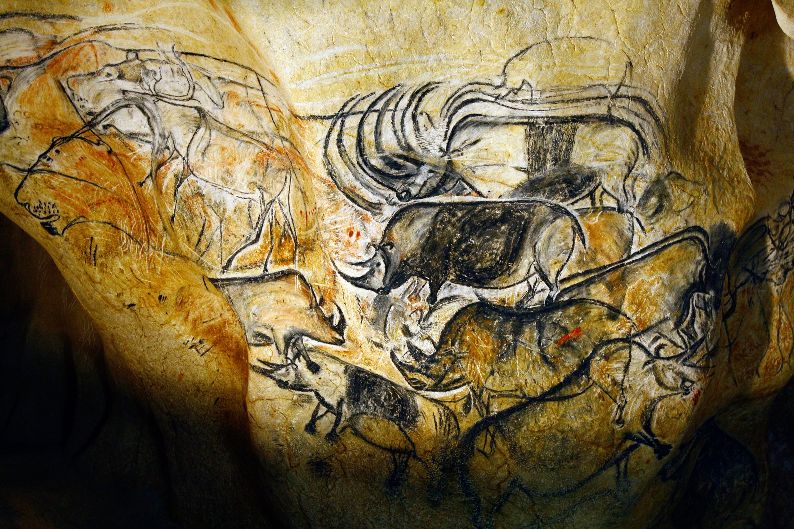 Cueva Chauvet 2 - Ardèche - Bienvenue en Provence