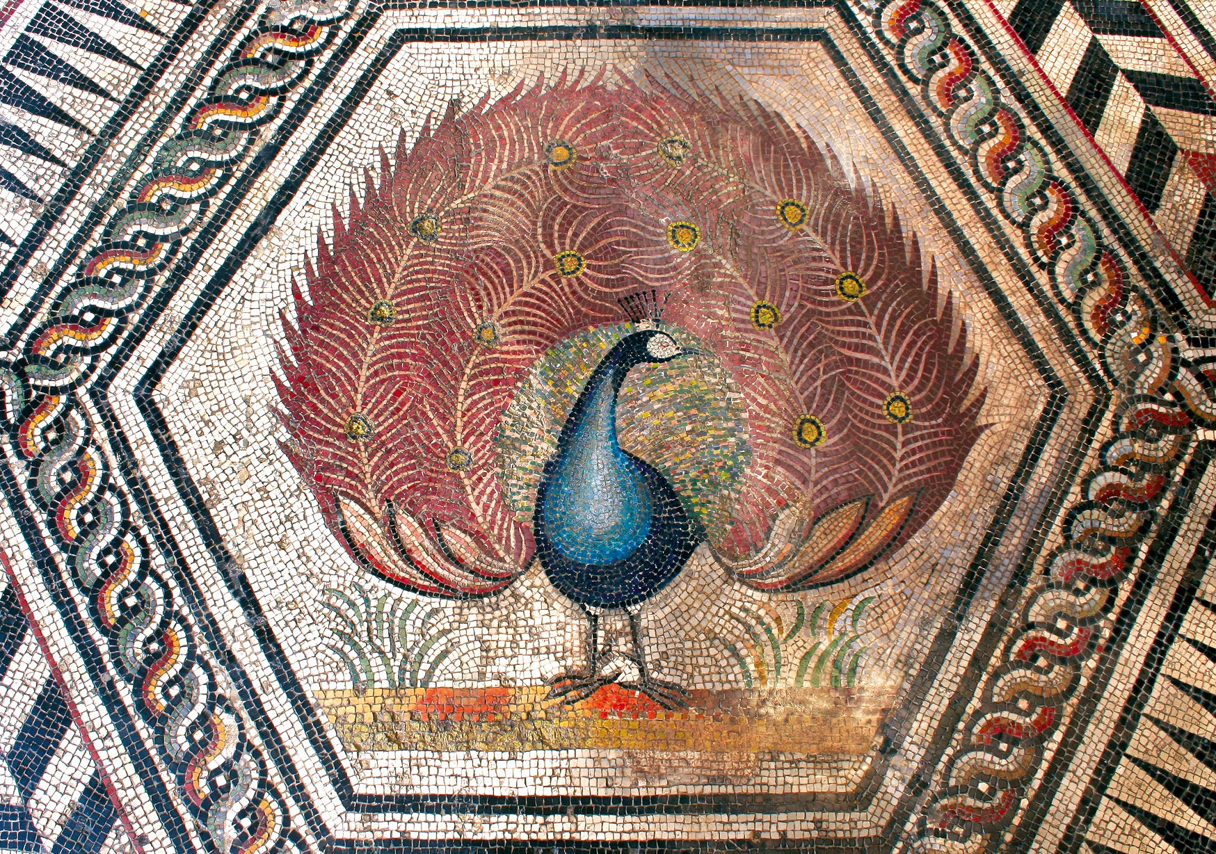 Detail from a Roman floor mosaic at Vaison-la-Romaine. A peacock ...
